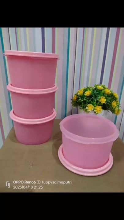 ภาชนะบรรจุอาหาร Tupperware Mini Deco Canister 560ml ราคาต่อ 1ใบ ...