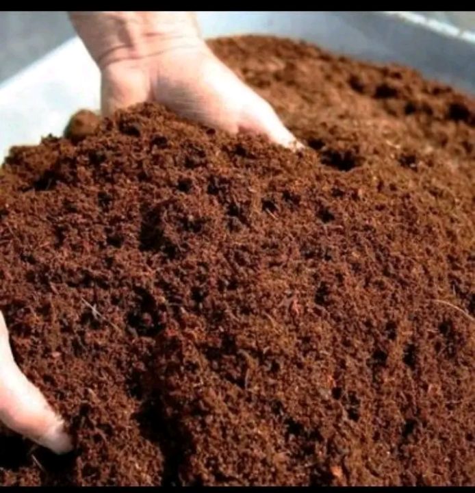 Kusot for plant/Good for soil conditioner/Used as fertilizer/ Help your ...