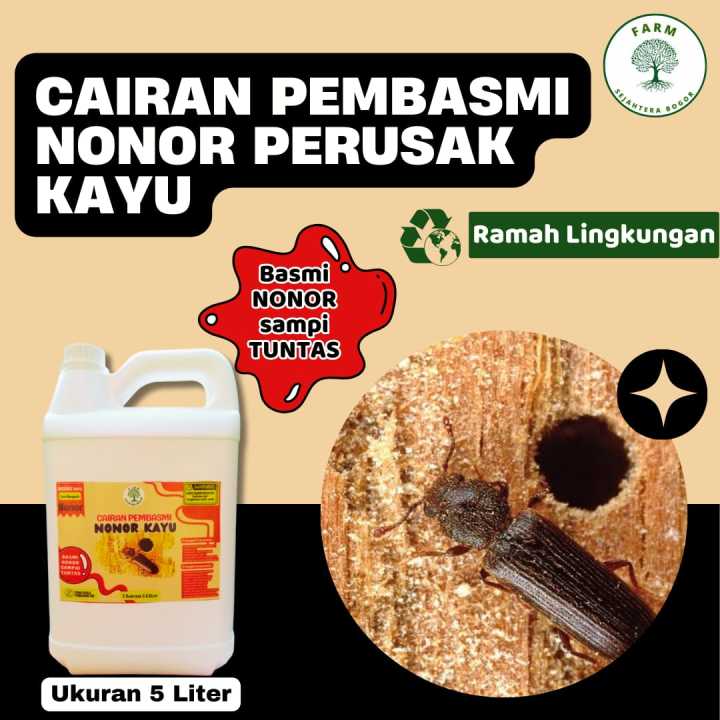 CAIRAN PEMBASMI NONOR KAYU NO 1 PALING AMPUH, ukuran 5 Liter | Lazada Indonesia