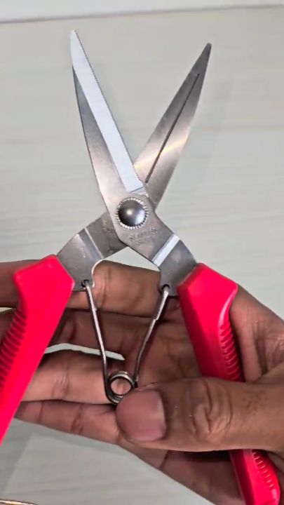 Gunting Korea Serbaguna Gunting Dahan Ranting Bunga Daun Seng Kawat ...