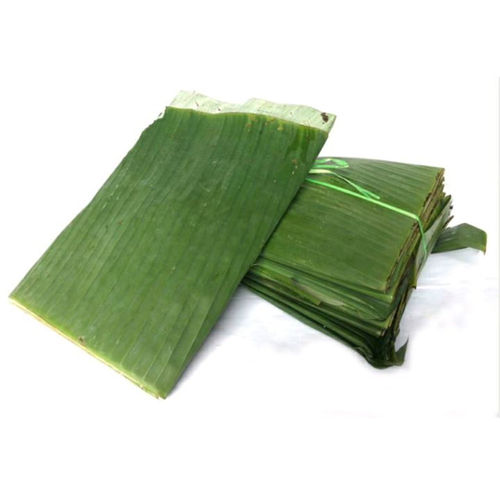 Daun Pisang 1 ikat 1 kg | Lazada