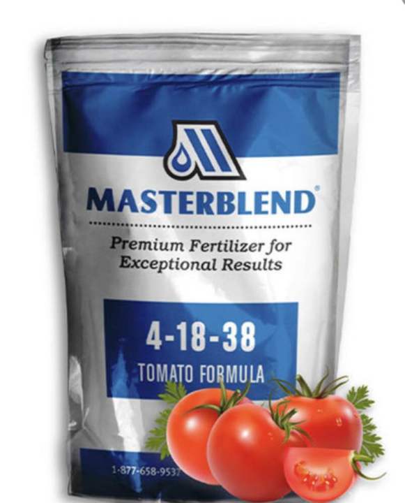 Masterblend Tomato Formula | Lazada PH