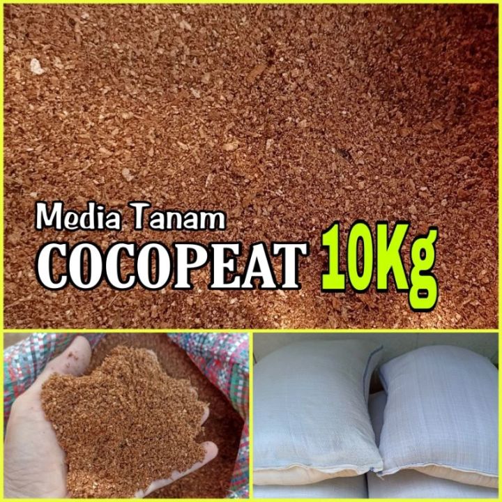 10Kg Cocopeat Media Tanam Cocopit Serbuk Sabut Kelapa | Lazada Indonesia