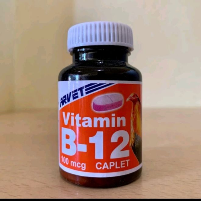 ARVET B12 CAPLET (1 BOTTLE/ 50Pcs) | Lazada PH
