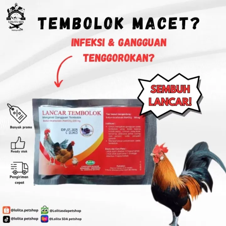 lancar tembolok mengatasi gangguan tembolok pada ayam | Lazada Indonesia