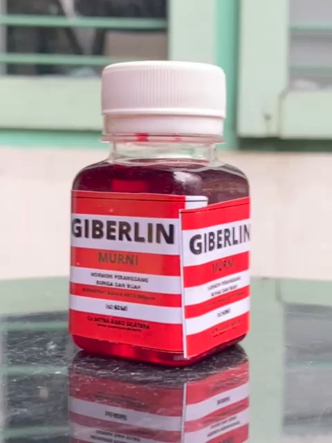 Hormon Untuk Pertumbuhan Bunga dan Buah GIBERELIN Murni kemasan 60 ml ...