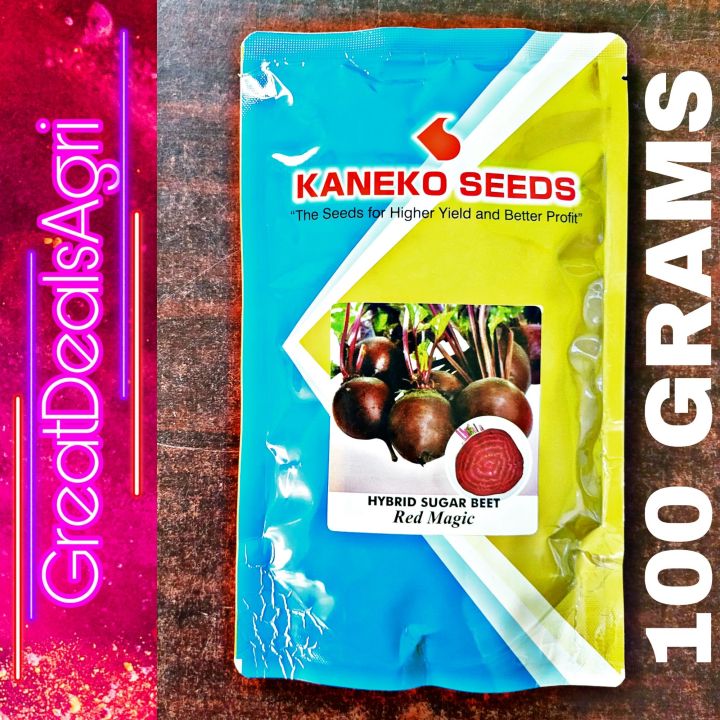 RED MAGIC F1 HYBRID SUGAR BEET SEEDS (100 GRAMS) BY KANEKO SEEDS ...