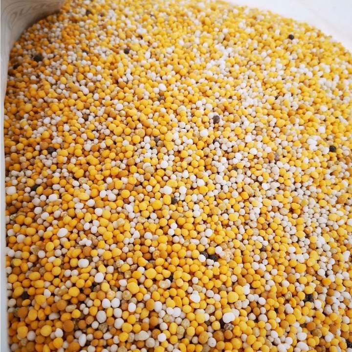 Baja Rumput Russell Cote [21-4-21] 2KG / Lawn Fertilizer / Baja Rumput ...