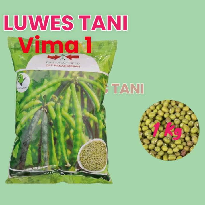 VIMA 1 BENIH KACANG HIJAU VIMA 1 isi 1KG CAP PANAH MERAH | Lazada Indonesia
