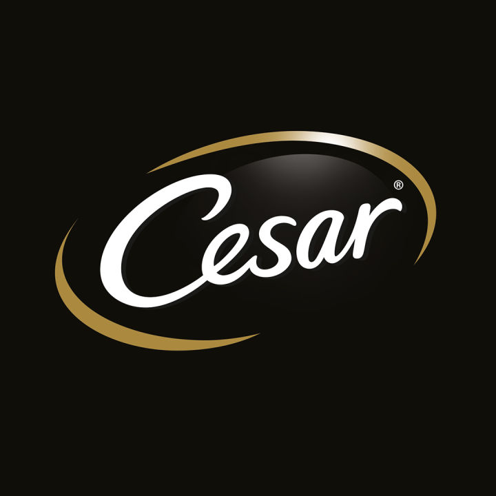 CESAR Makanan Anjing Basah - Makanan Anjing Dewasa Premium dalam ...