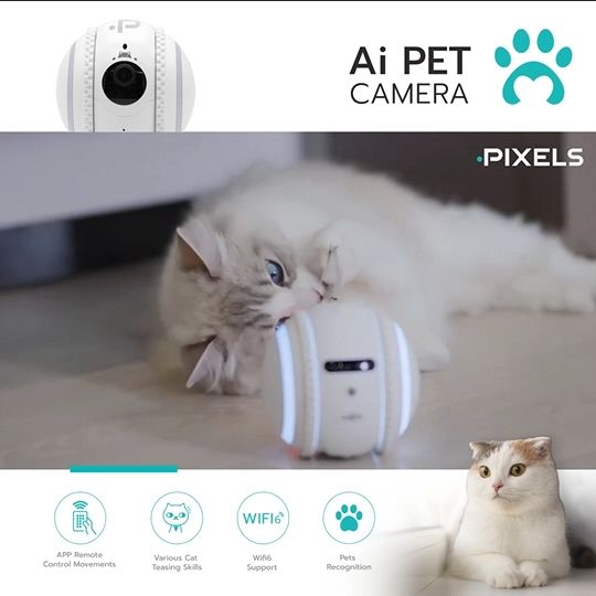 PIXELS PX- Ai PET CAMERA กล้องวงจรปิดไร้สายสำหรับสัตว์เลี้ยง | Lazada.co.th