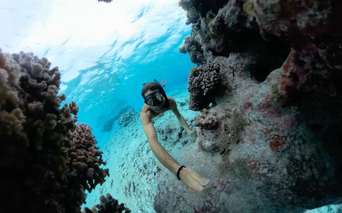 Insta360 X3 Invisible Dive Kit, waterproof 360 action camera, 50m ...