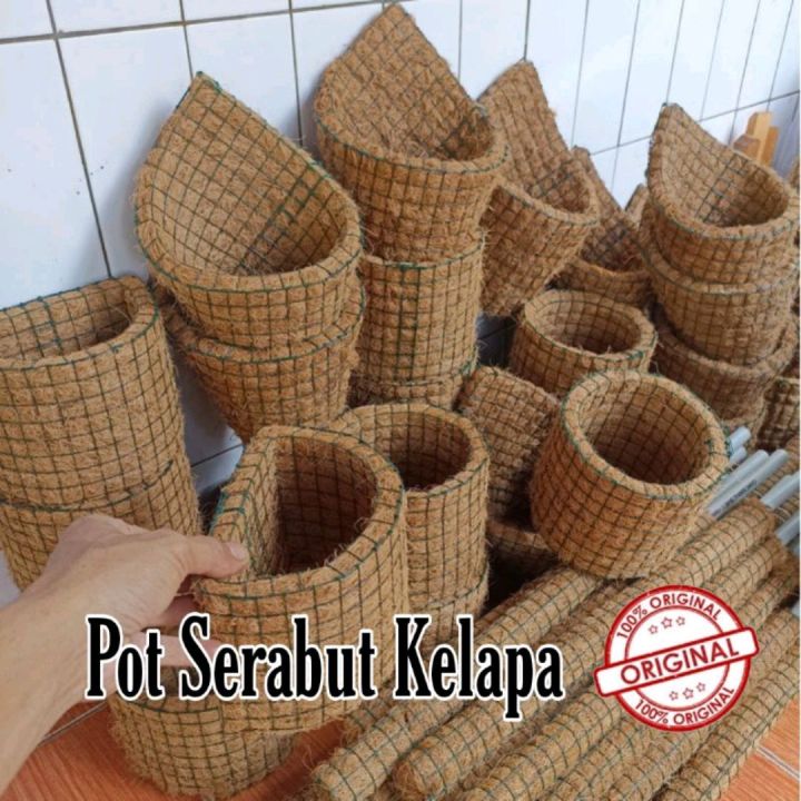 Pot tanaman bunga anggrek serabut/sabut kelapa coco fiber | Lazada ...