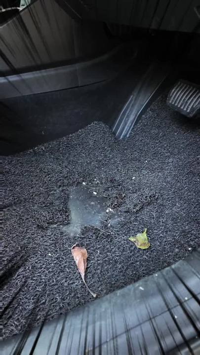 Dodo® Car Mat/Jaecoo J7 (PHEV) / 2024-Present / MK1 | Lazada