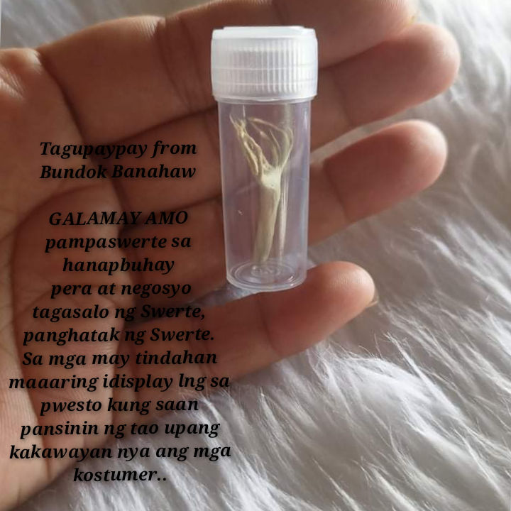 tagupaypay sa bote pampaswerte | Lazada PH