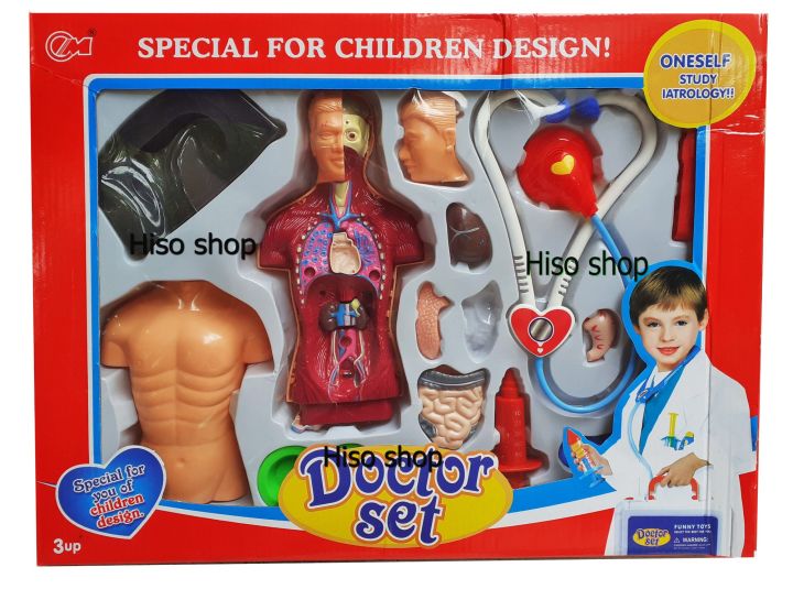 Doctor set พร้อมอวัยวะร่างกาย | Lazada.co.th