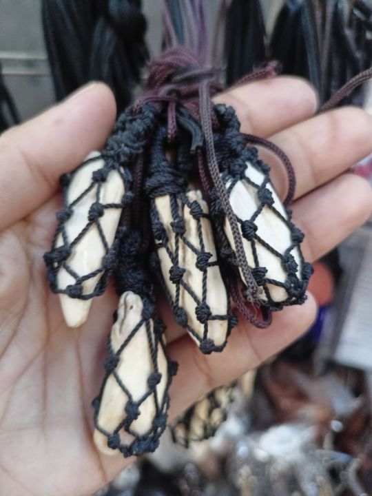 ngipin ng baboy ramo pendant ay pangkalahatang pang hatak ng bwinas sa ...