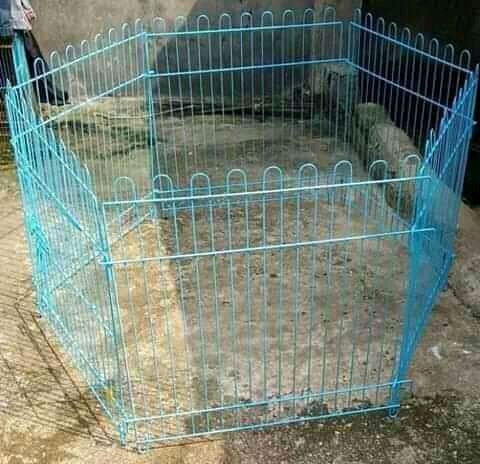 pagar kucing .. 1set 6lembar. | Lazada Indonesia