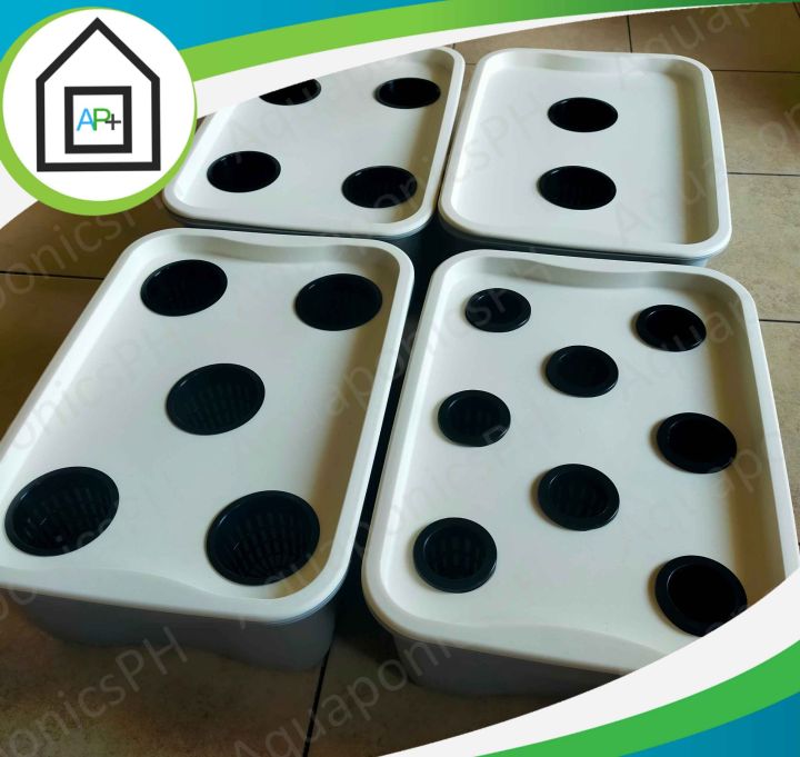 AP+ Hydrobox with 8/5/4/2 holes / Hydroponics Plant Box | Lazada PH