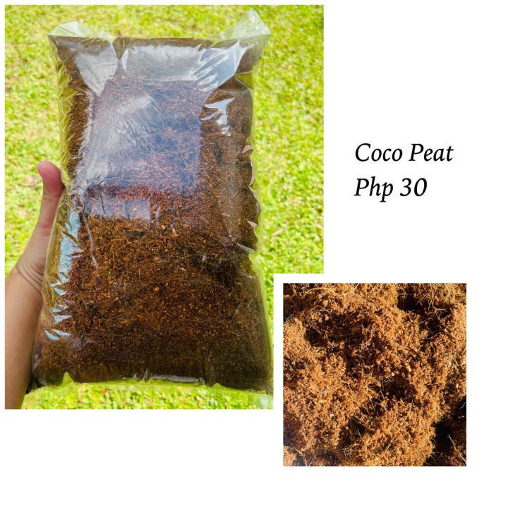 Coco Peat | Lazada PH