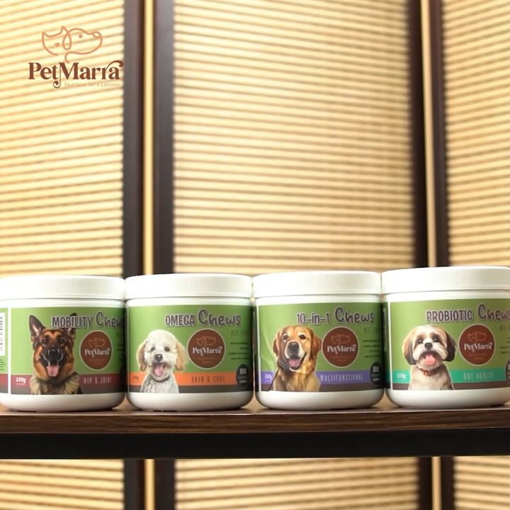 PetMarra Probiotic Omega Mobility 10 in 1 Chews Dog Treats Gut Health ...