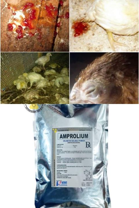 Amprolium anticoccidia 1kg | Lazada PH