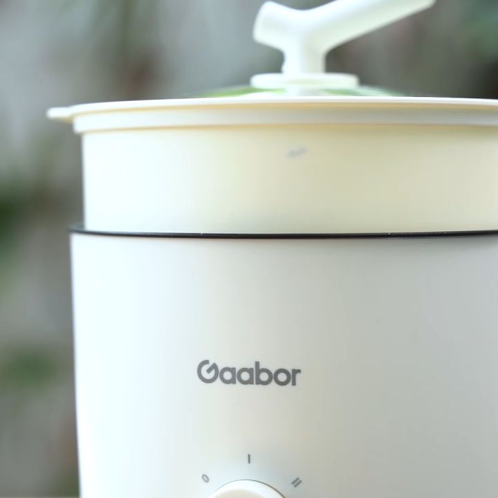 Gaabor 1.5L/2L Multifunctional Cooker Anti-Slippery Double Heat Control ...