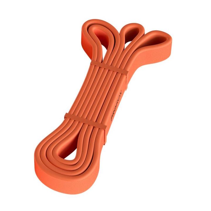 PROIRON | Round Corner Design Resistance Band Yoga Stretch | Lazada PH