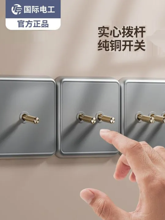 TEP Grey Vintage Chinese Paddle Switch Socket Built-In Dual Control ...