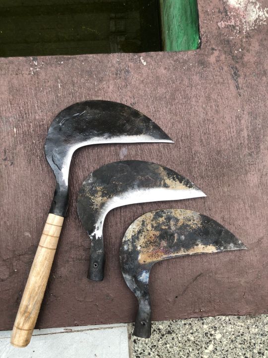 Arit antik, Alat tani pemangkas padi dan rumput | Lazada Indonesia