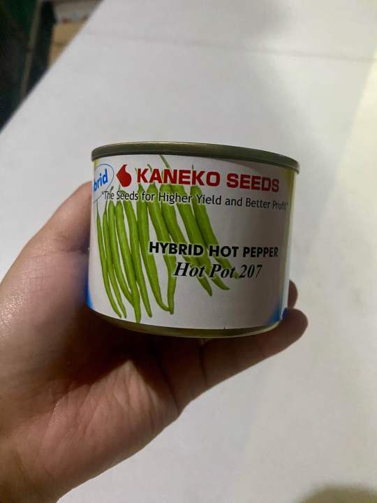 Hotpot 207 Hot Pepper Seeds / Siling Panigang / Siling Haba (Kaneko) 20 ...