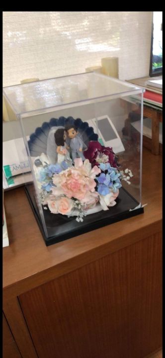 Acrylic Display Case | Lazada PH