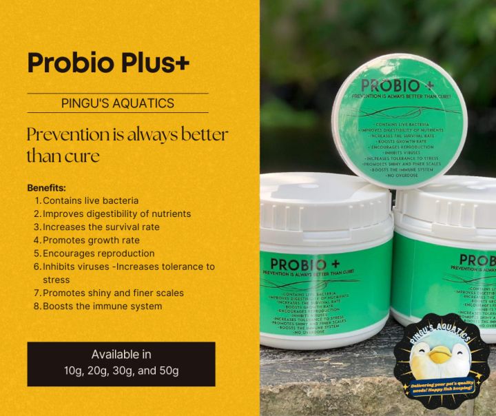 Probio + (Probiotics For Aquatic Pets) | Lazada PH