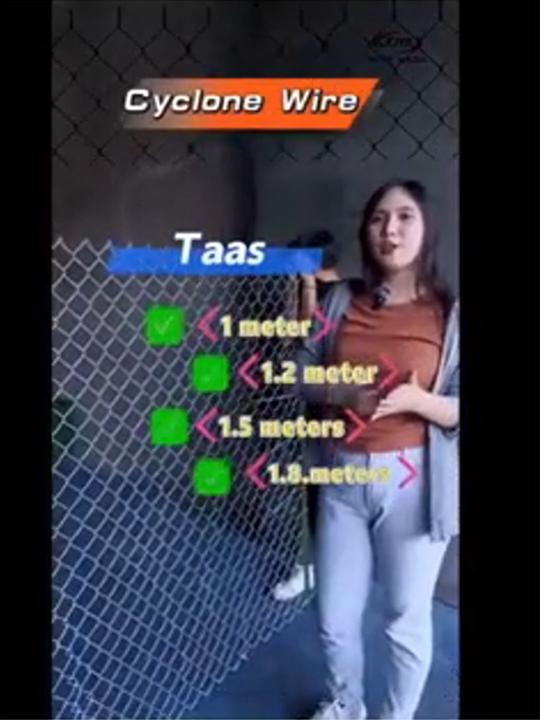 6M Cyclone Wire Galvanized Pvc Coated Wire Chain Link Bakod Gate Door ...