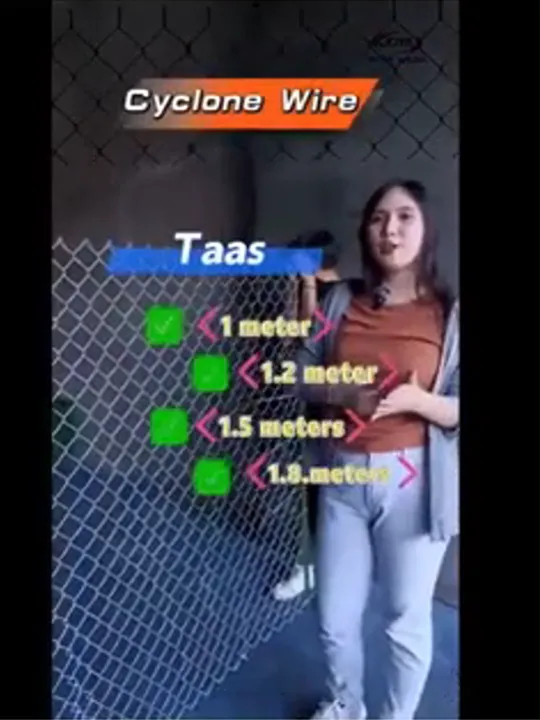 6M Cyclone Wire Galvanized Pvc Coated Wire Chain Link Bakod Gate Door ...