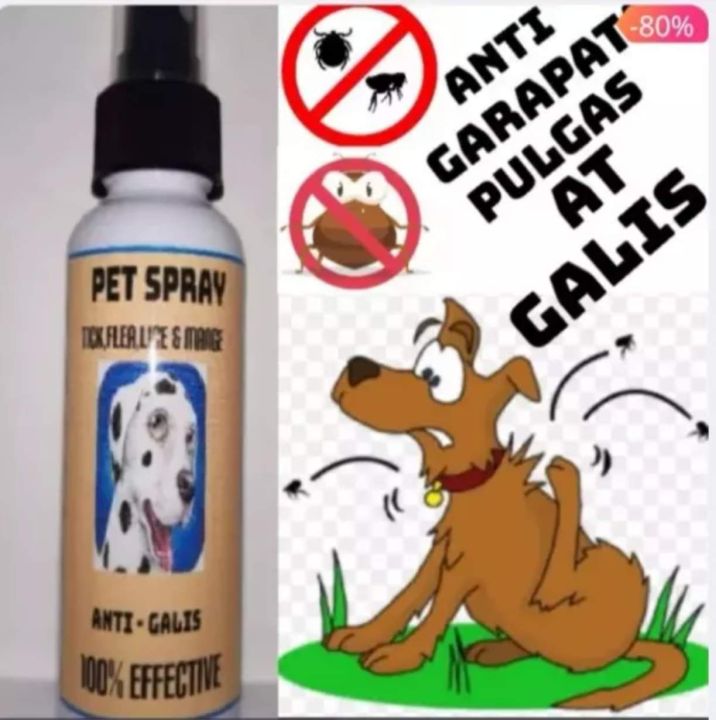 Gamot sa galis,garapata,pulgas katikati 100ml spray (O) | Lazada PH