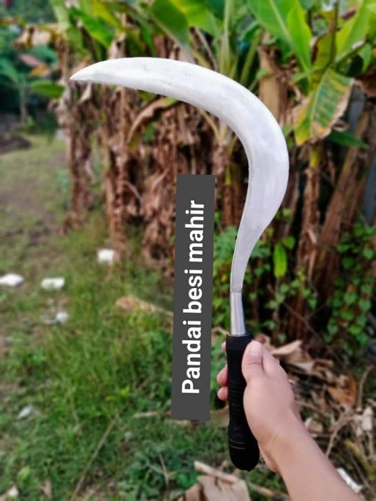 arit rumput madura | Lazada Indonesia