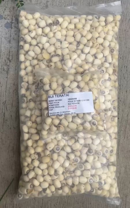 Biji Teratai Lotus Seed | Lazada Indonesia