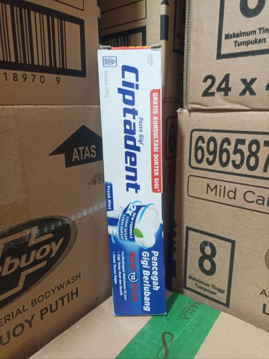 Ciptadent Pasta Gigi Maxi 12 Plus Jumbo 225gr | Lazada Indonesia