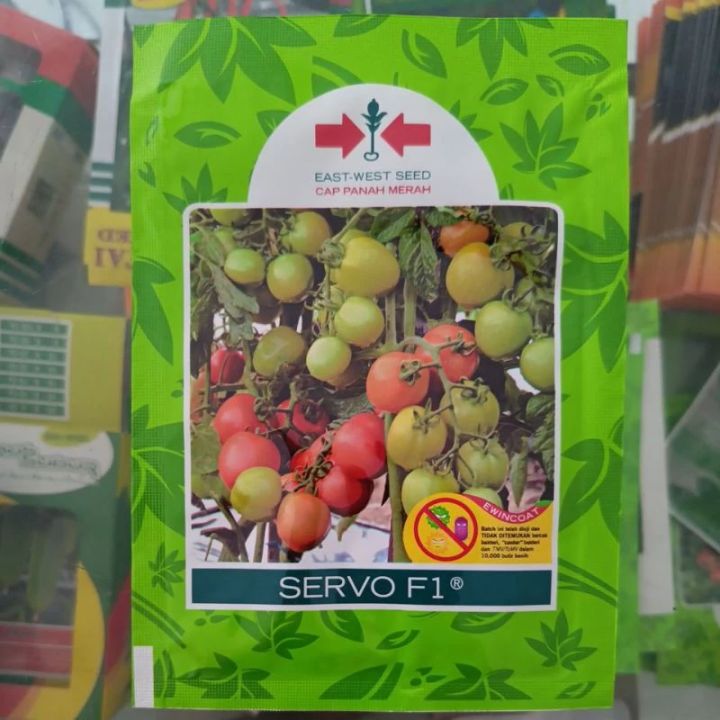 Benih bibit Tomat Hibrida Servo F1 1750 butir | Lazada Indonesia