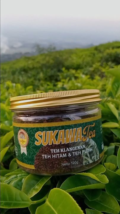 (40gr) Teh Hitam Sultan SukawaTea Original Produk Herbal Berkhasiat|Teh ...