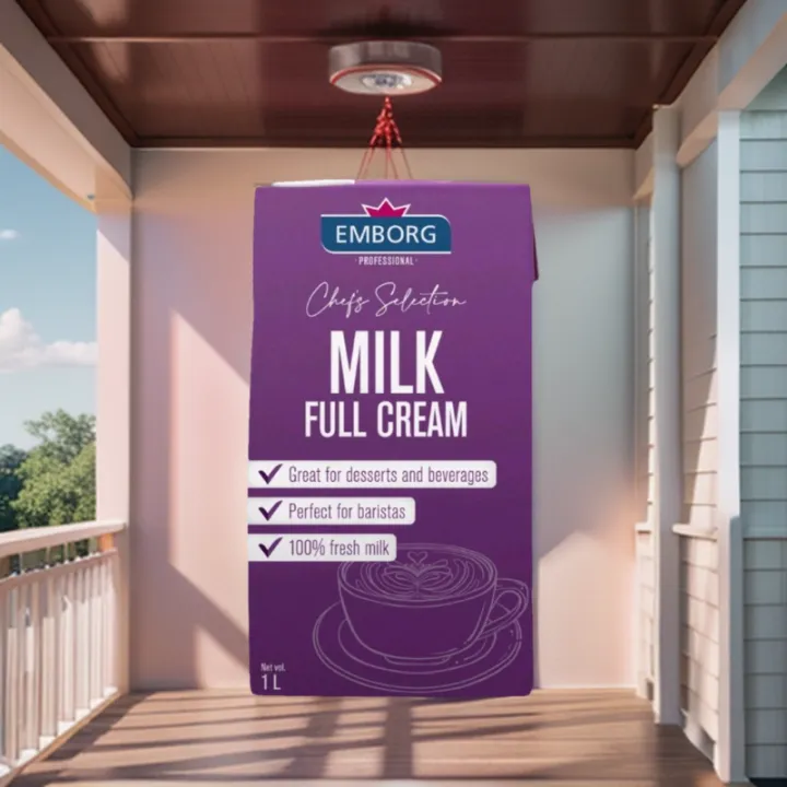 Emborg Full Cream Milk 1 Liter | Lazada PH