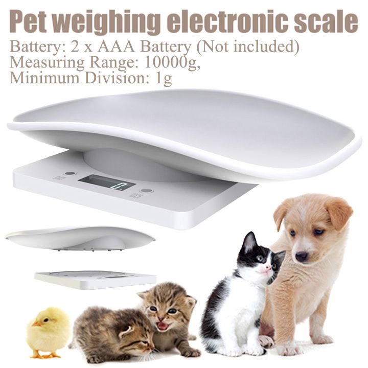 High Precision Digital Scale Weight Balance Scale Pet LCD Electronic ...