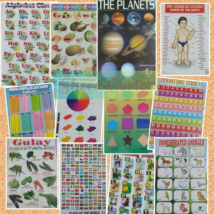 PAPER GLOSSY Educational Paper Wall Chart 13x20inches SOFT PAPER ...
