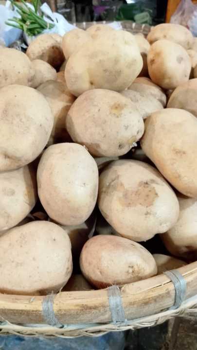 KENTANG DIENG SEGAR 1kg | Lazada Indonesia