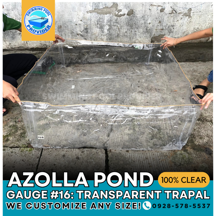4x10x1ft Clear Transparent Azolla or Fish Pond Gauge No.16 Heavy Duty ...