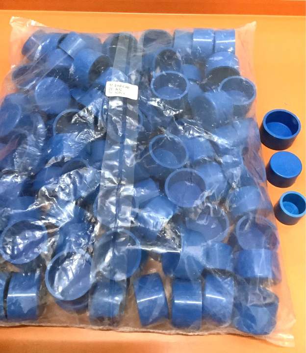pvc blue endcap 1/2" 3/4" 1" 50pcs 100pcs | Lazada PH