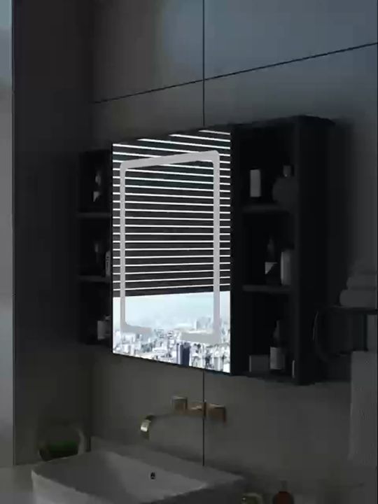 Space Aluminum Bathroom Mirror Cabinet with Led Light Wall-mounted ...