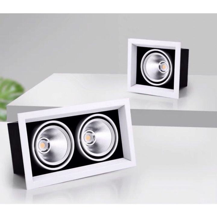 【COD&Ready】Rohstar 1X20W,2X20W Recessed led Bean gall light grille ...