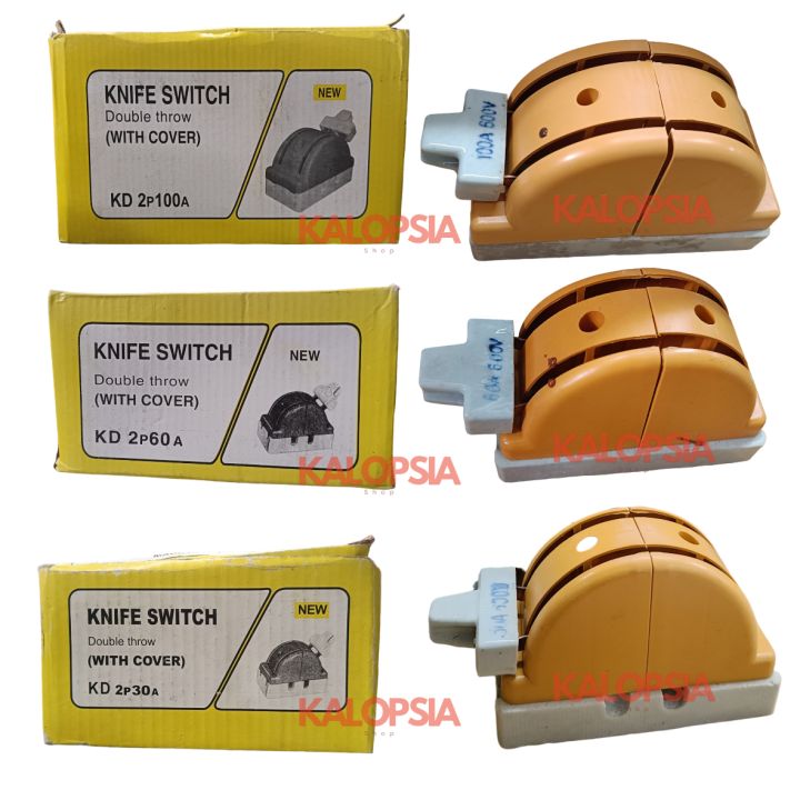 CHINA CERAMIC KNIFE SWITCH 30A, 60A, 100A 2P 600V DOUBLE THROW WITH COVER | Lazada PH
